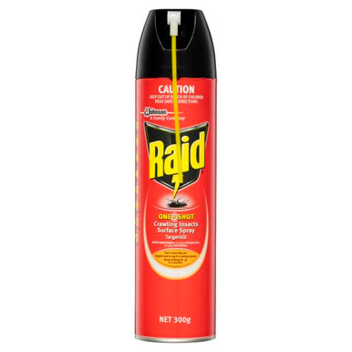 RAID ONE SHOT TARGET KILL INSECT SPRAY 300GM - Melbourne Office Supplies