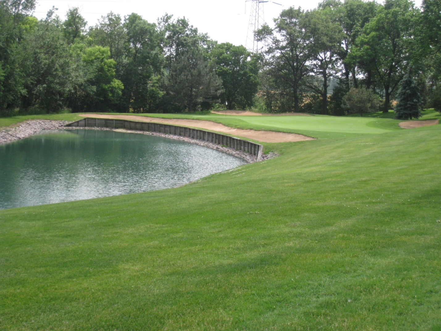 Monthly Tip from a Pro: Surefire Ways to Get the Ball Out of Shallow ...