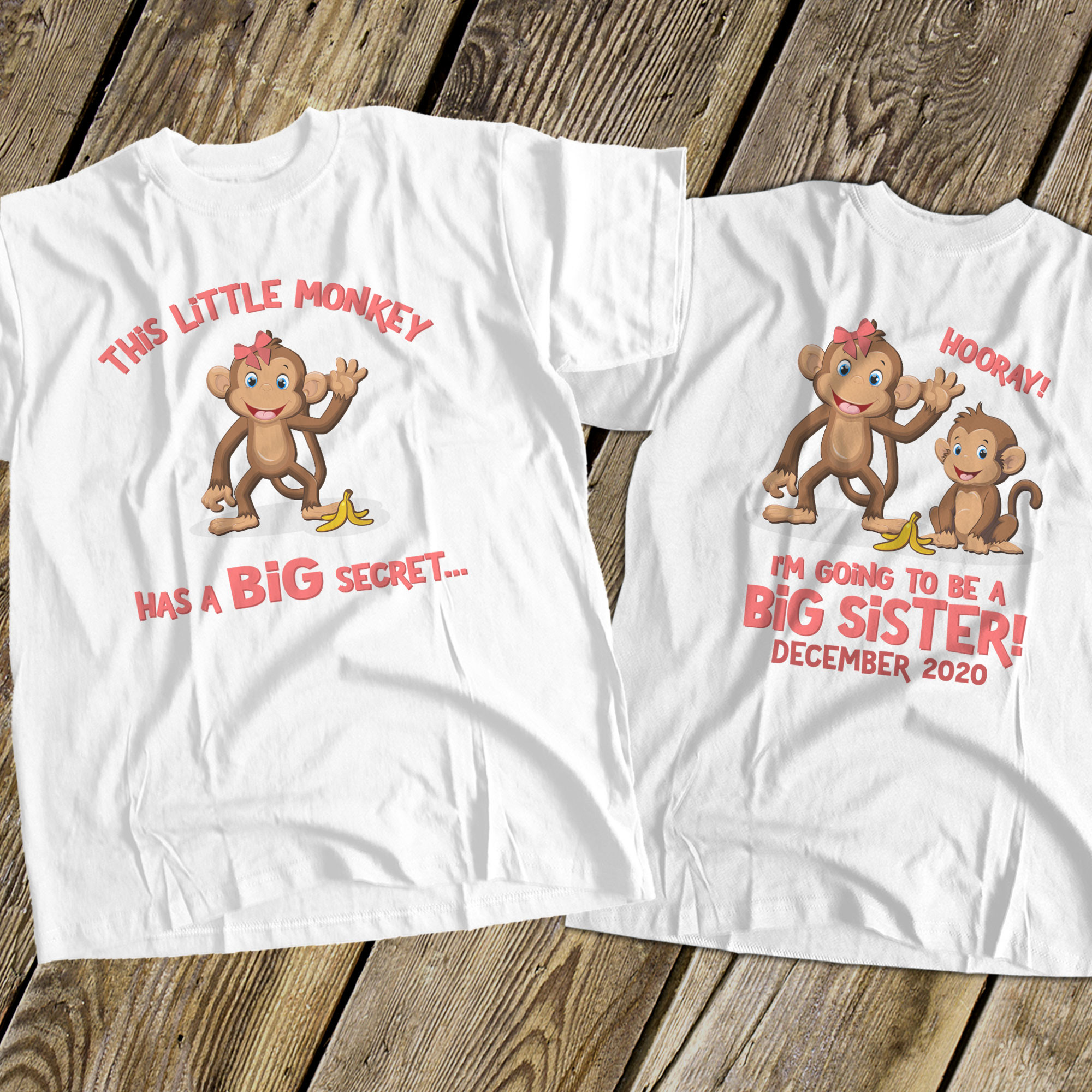 personalized kids shirt, whimsy bird big sister secret announcement tshirt