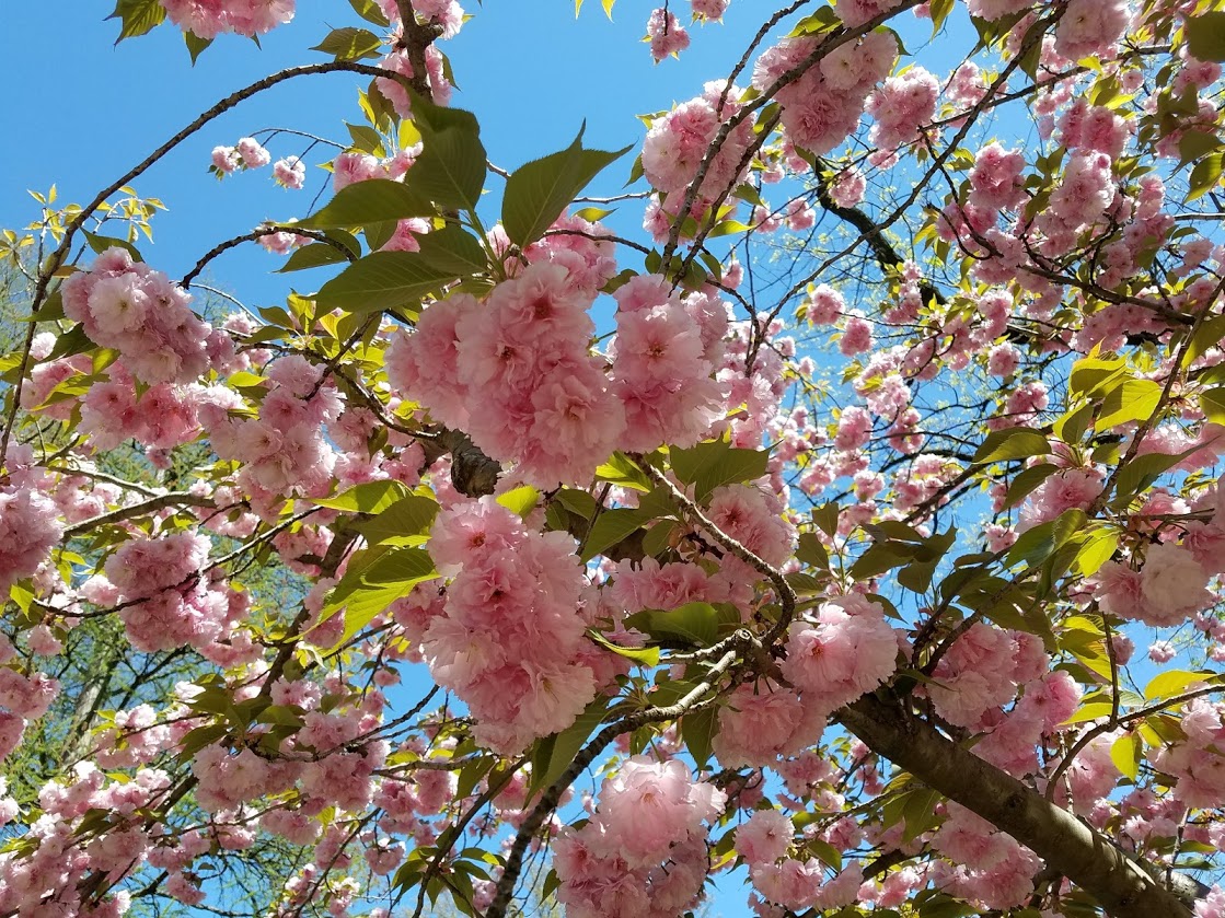 Hurry Up Spring! - zoey's attic personalized gifts