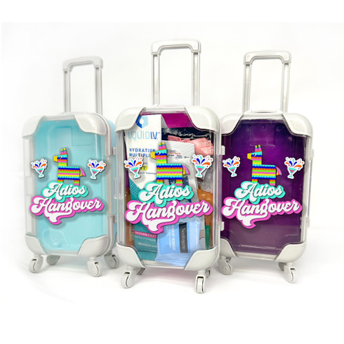 party survival kit, hangover recovery mini suitcase mexico party favor