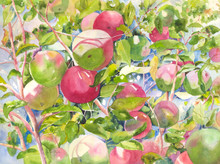 Under the Apple Tree - Bishop Art Supply