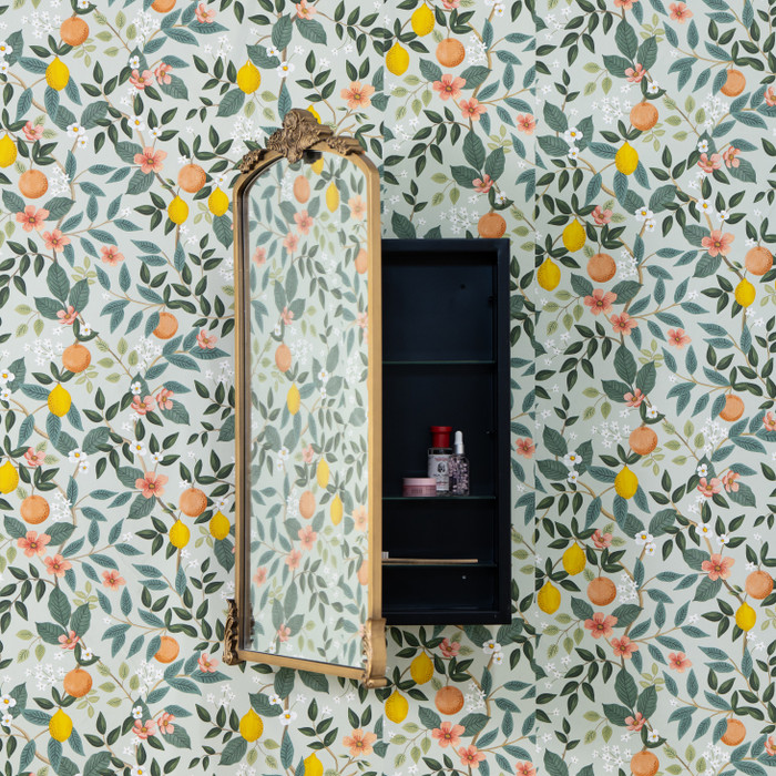 Adeline Medicine Cabinet - Cooper Classics