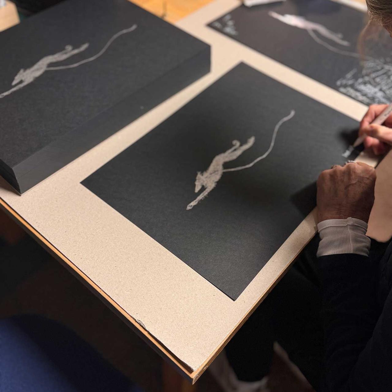 vashti bunyan poster