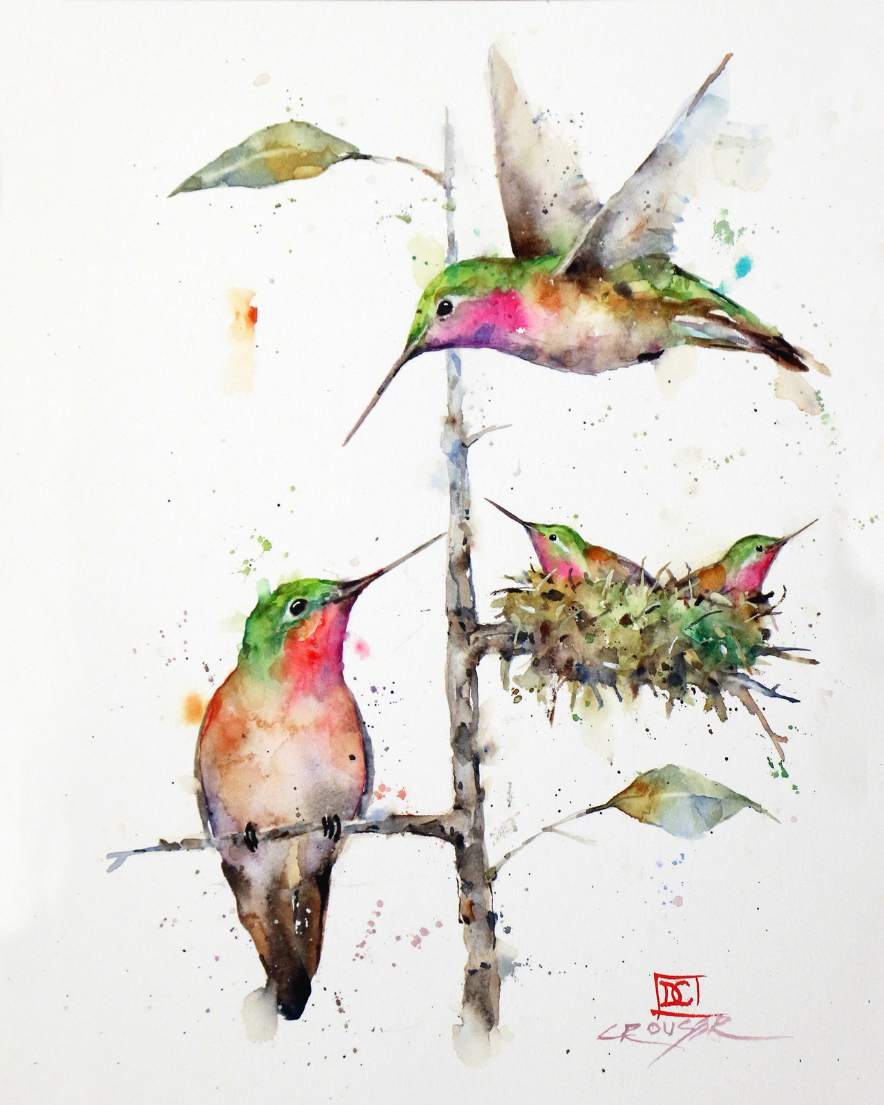 Hummingbird Watercolor Print Painting by Dean Crouser