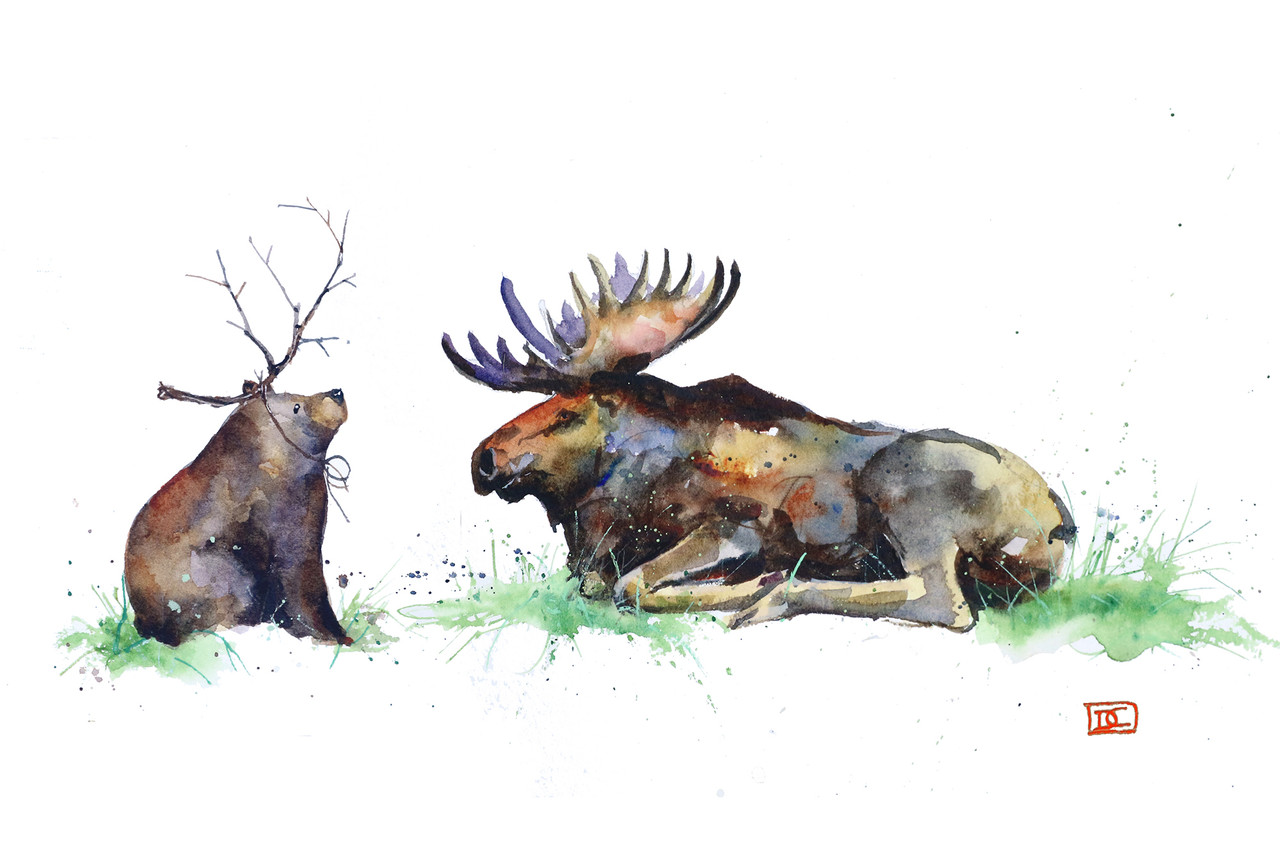 'IF A BEAR HAD ANTLERS' from the Book 'WONDER: A Bear's Journey' - The ...