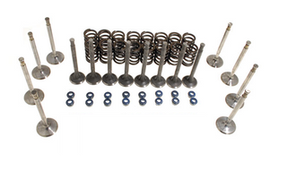 Rover V8 Valves, Springs, and Guides Kit - All Engines