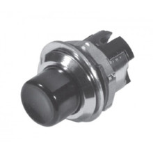 Switch Push Button Type