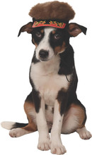 Visor w/Hair Flame Mullet Fancy Dress Up Halloween Pet Dog Cat Costume ...