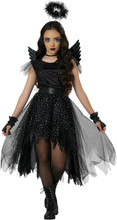 Dark & Dazzling Angel Fallen Black Gothic Fancy Dress Up Halloween ...