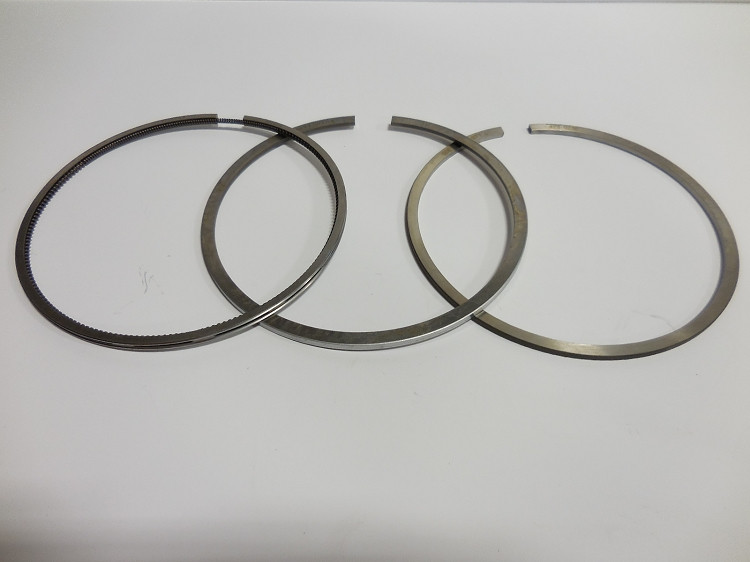 Piston Ring Kit-4220300024