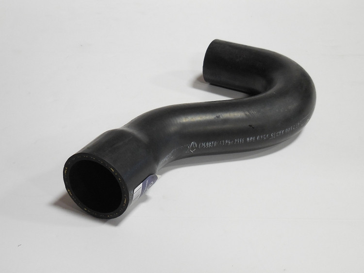Radiator Hose-4259870443