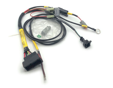 Branch Wiring Harness