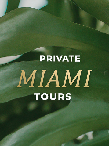Amazing Miami Trips Deals - Experience the Spirit of Miami