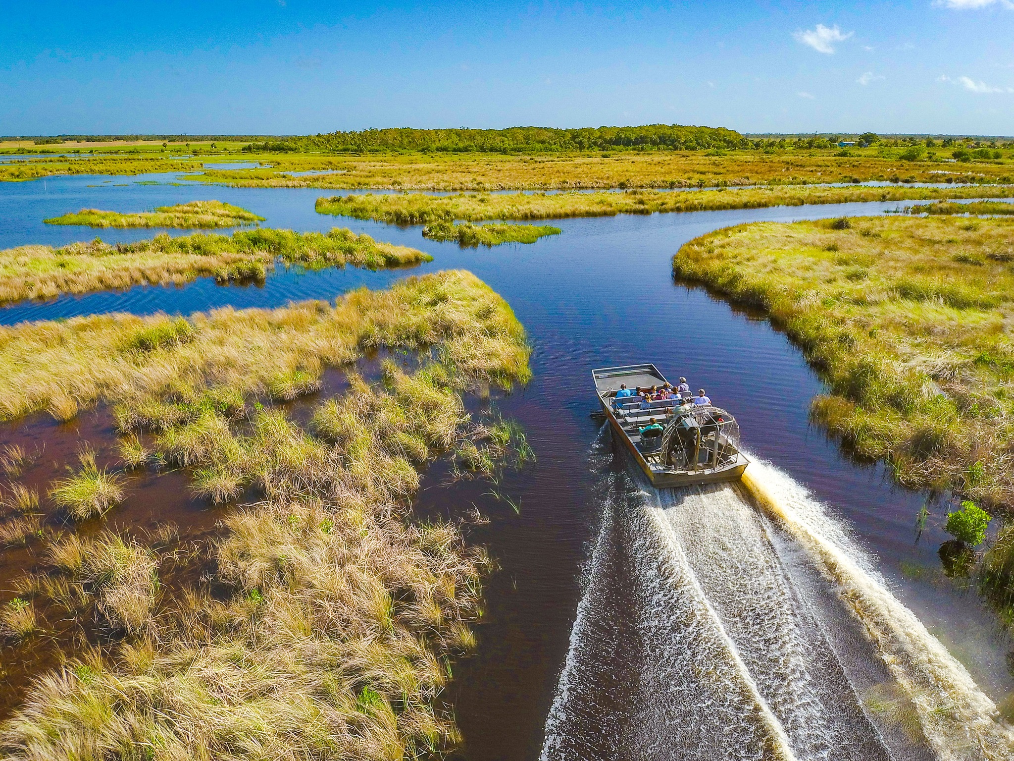 Exploring the Wonders of Miami: Miami Everglades Half-Day Airboat Tour ...