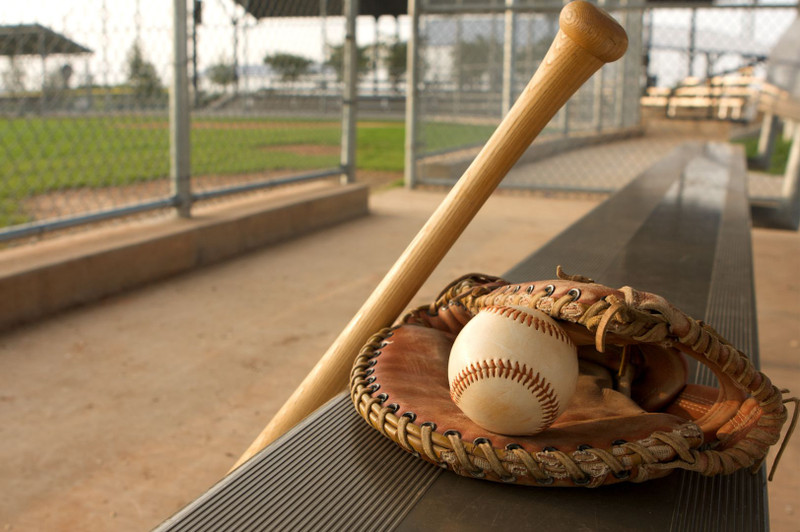 What’s The Best Wood for a Wood Bat? Maple vs Ash vs Birch - Phoenix Bats