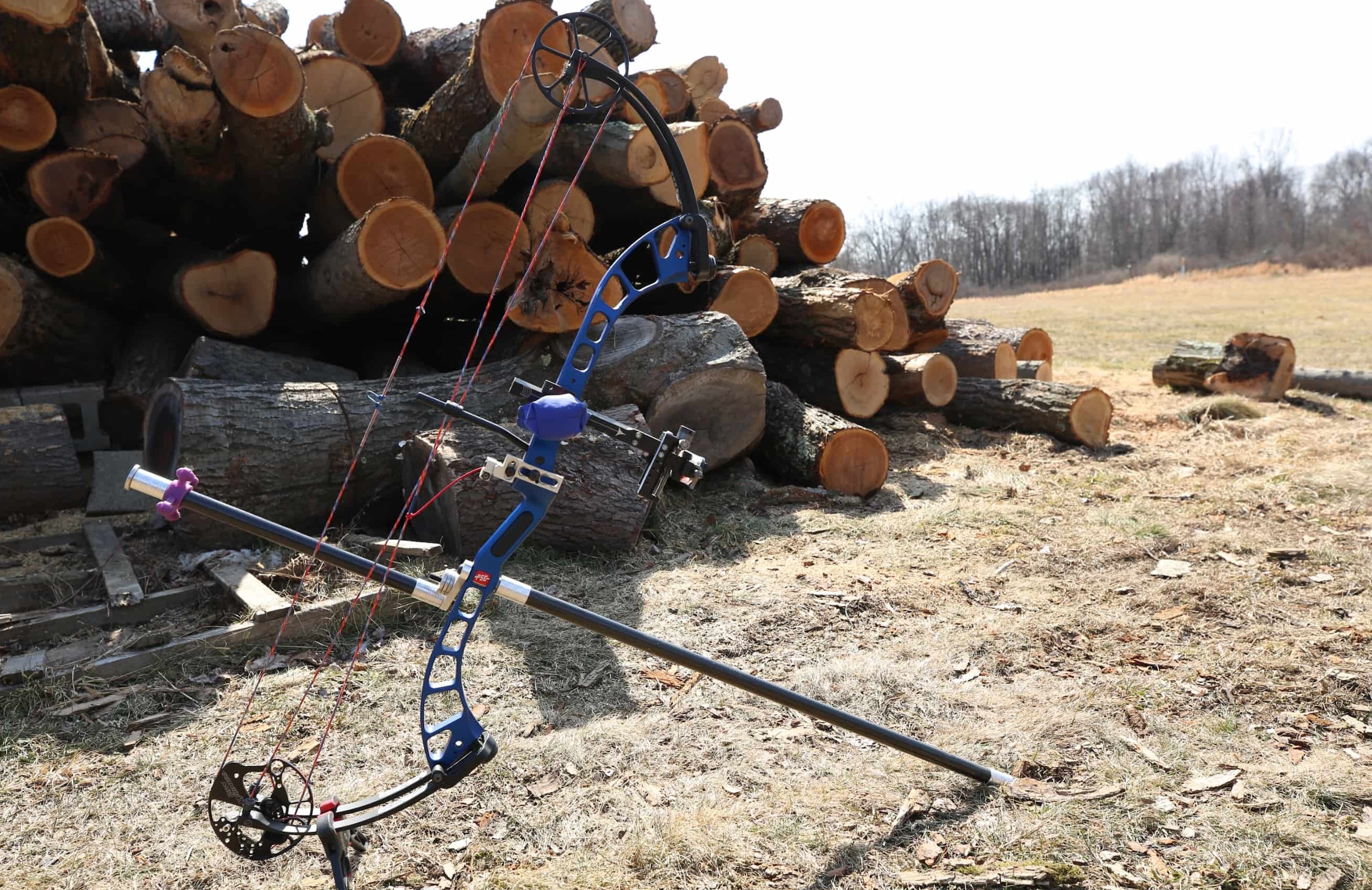 The 10 Best Compound Bow Manufacturers - 60X Custom Strings