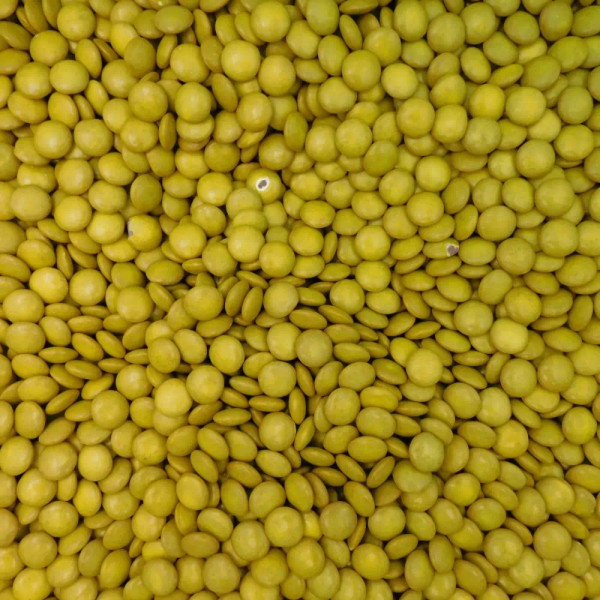 Choc Drops - Yellow (12kg Box) | Bulk Yellow Chocolate Pieces
