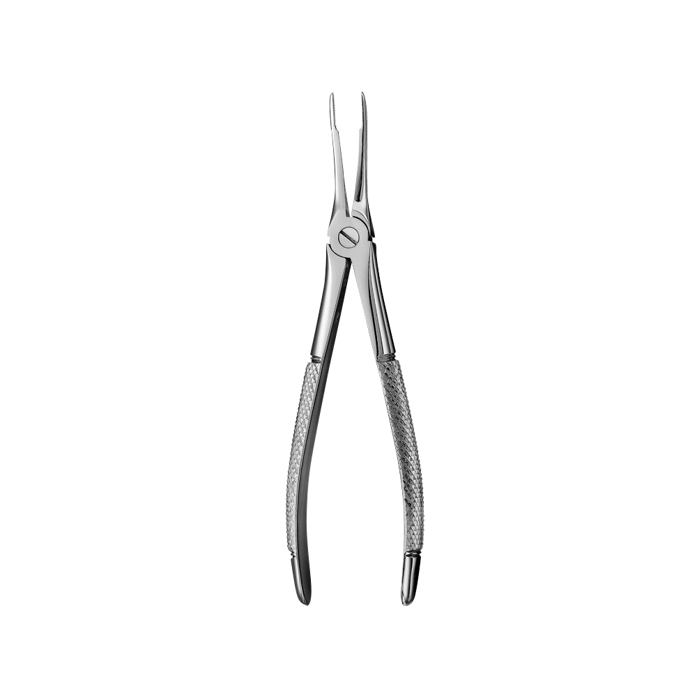 49 Upper Roots Serrated Extraction Forceps