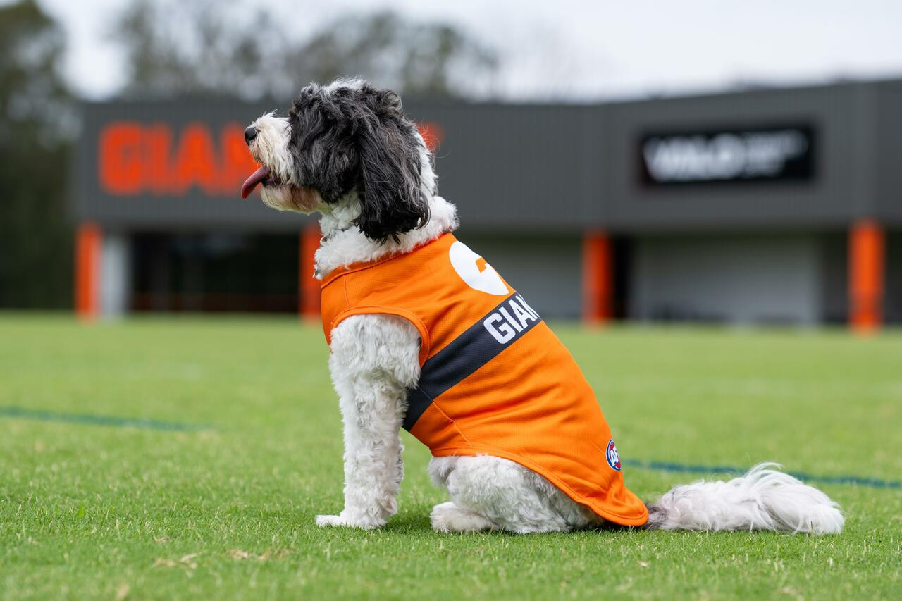 GIANTS AFL Dog Jersey - GIANTS Shop