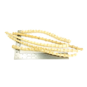 One-Off Items - Assortments - RawKrafted