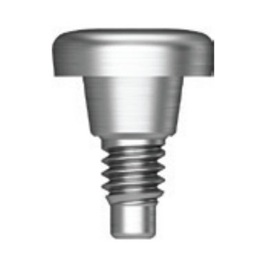 SS Cover Screw