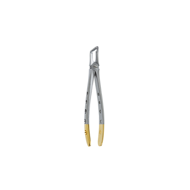 Dental Extraction Forceps F-222AF Apical Beak Lower Wisdoms