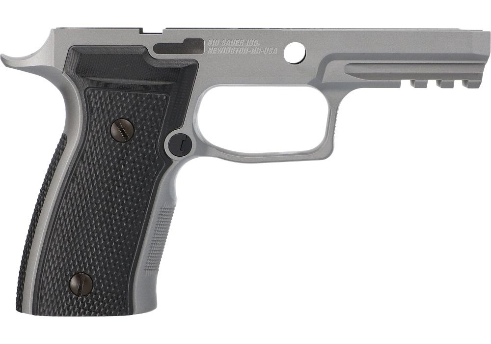 SIG Sauer P320 AXG Carry Grip Module, Aluminum, Titanium Cerakote - AB ...