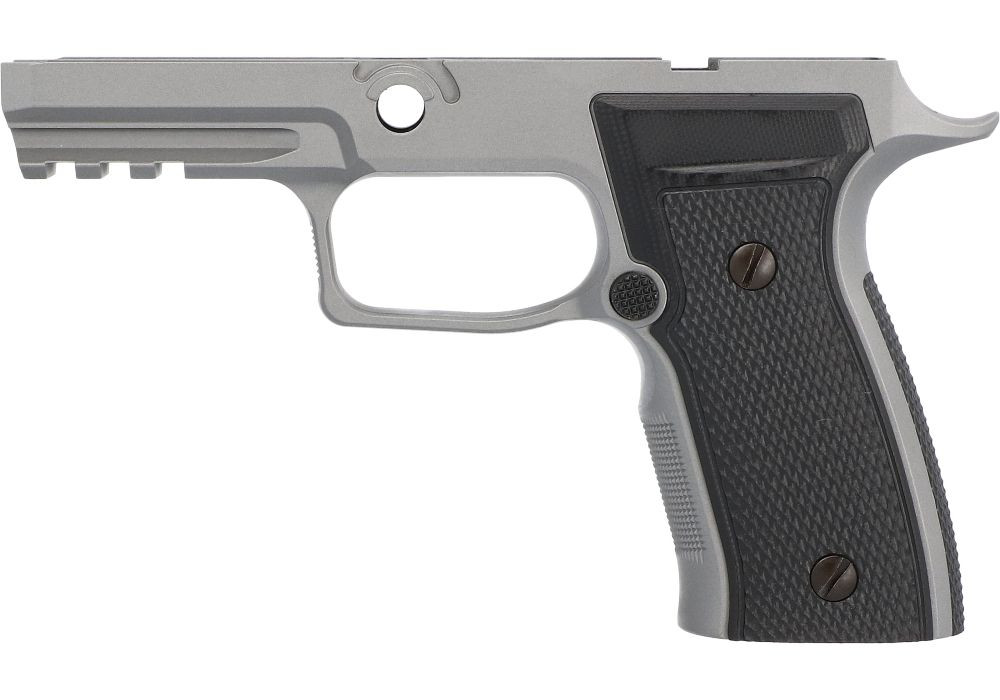 SIG Sauer P320 AXG Carry Grip Module, Aluminum, Titanium Cerakote - AB ...
