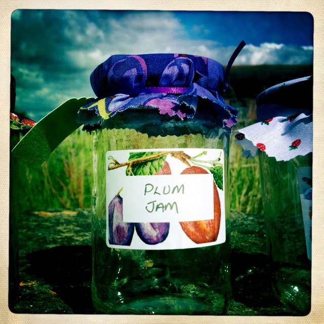 Plum Jam Jar Labels - Ideal for Plum Jam - Wares of Knutsford Ltd