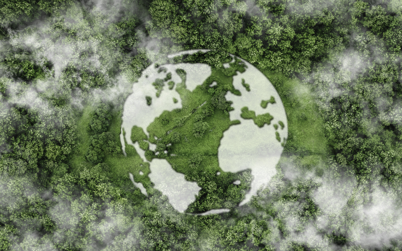 What to know about World Environment Day - Wares of Knutsford Ltd
