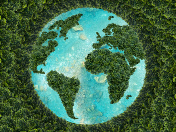 What to know about World Environment Day - Wares of Knutsford Ltd