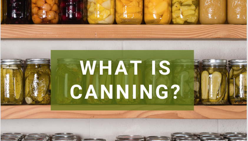 What Exactly Is Canning And How Is It Different From Making Preserves ...