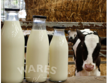 Health Benefits of Storing Milk in Glass Bottles - Wares of Knutsford Ltd
