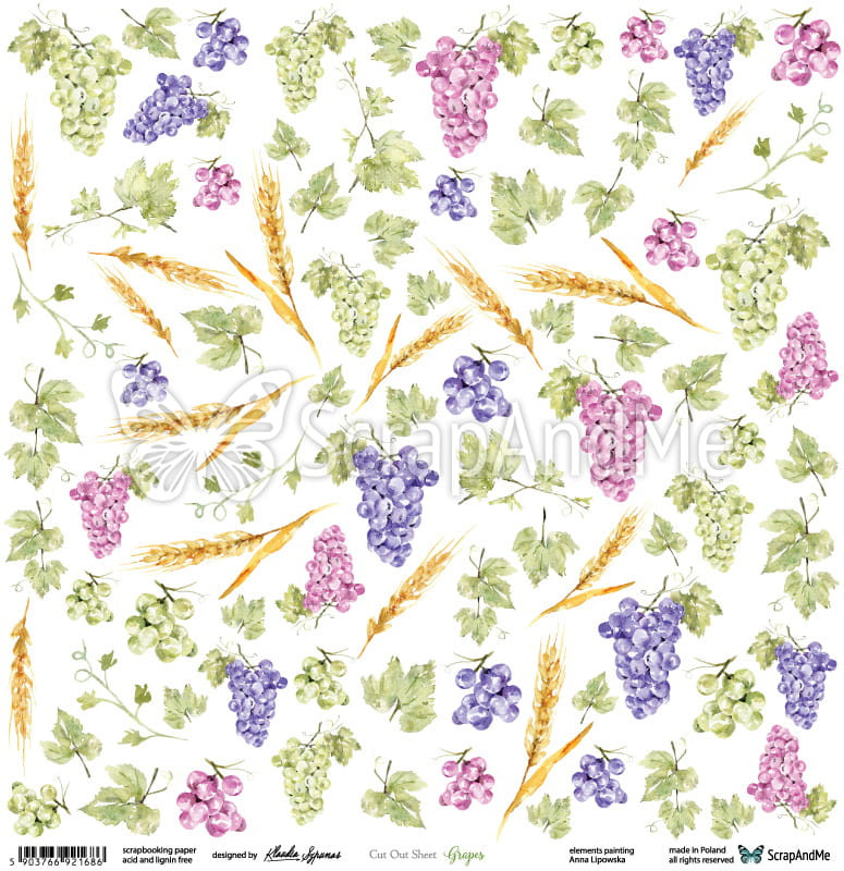 ScrapAndMe - Scrapbooking Paper - 12x12 - Cut Out Sheet (Grapes)