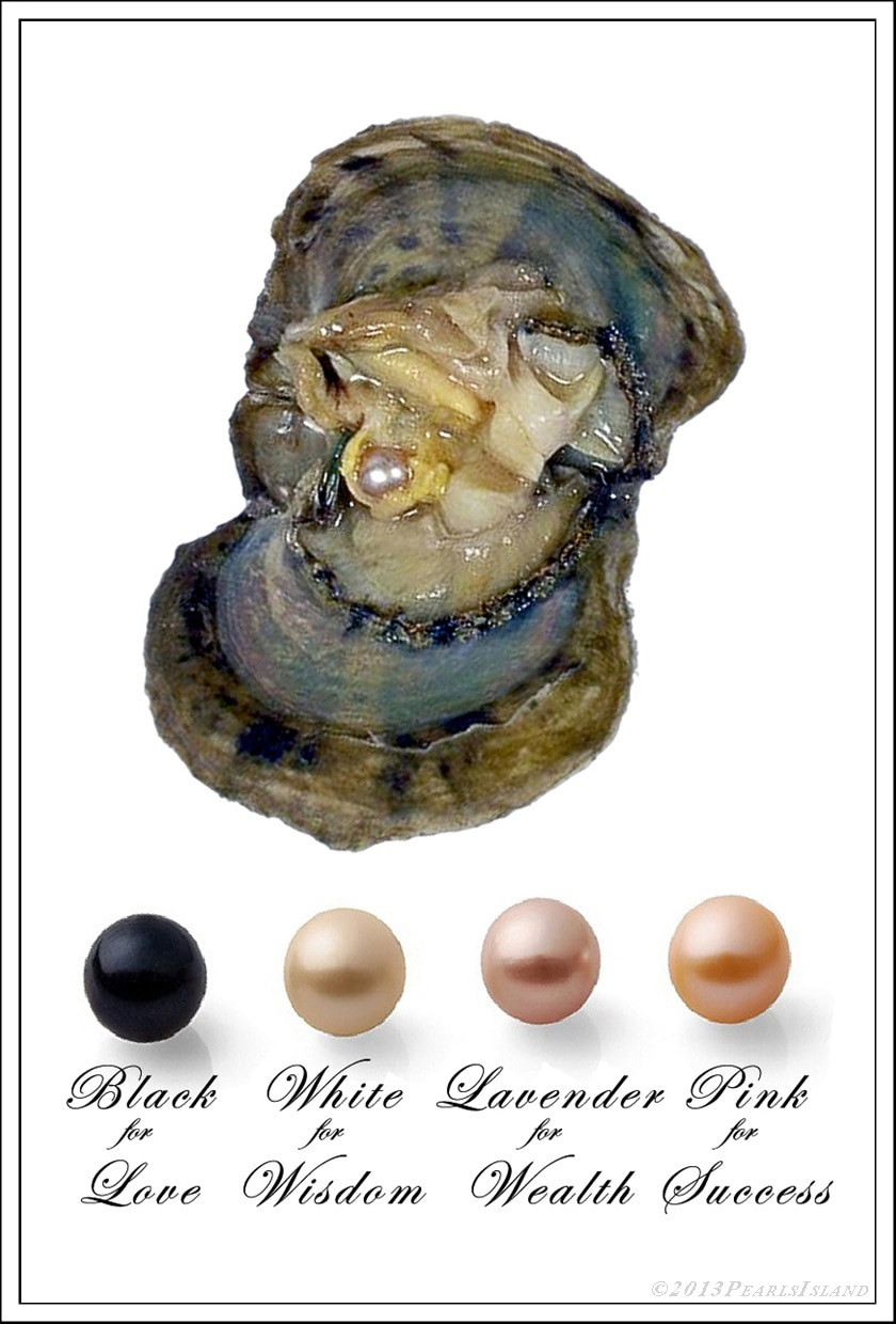 Elephant Cage Pendant for Pearls | Best Value | PearlsIsland