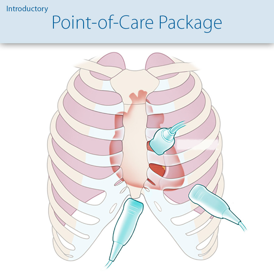 Point-of-Care Ultrasound - POCUS Training