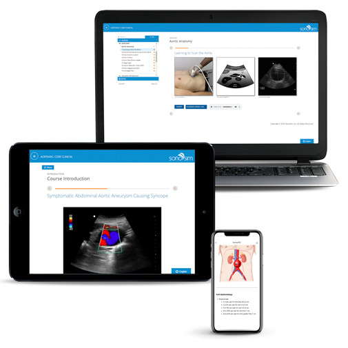 Ultrasound Training - Aorta and Inferior Vena Cava (IVC)