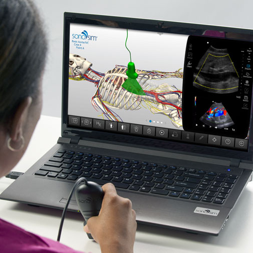 Ultrasound Training - Inferior Vena Cava (IVC) and Aorta Anatomy