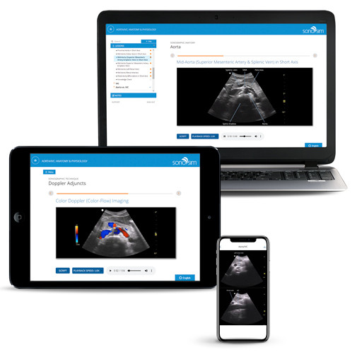 Ultrasound Training - Inferior Vena Cava (IVC) and Aorta Anatomy