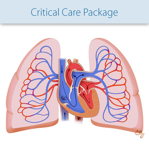 Ultrasound Training - POCUS Training - Critical Care