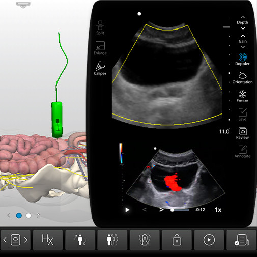 Urology Ultrasound - Practical Ultrasound Training for Urology