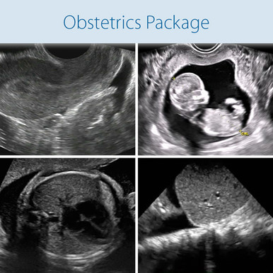 Obstetrics Ultrasound Training Courses & Patient Scanning Practice