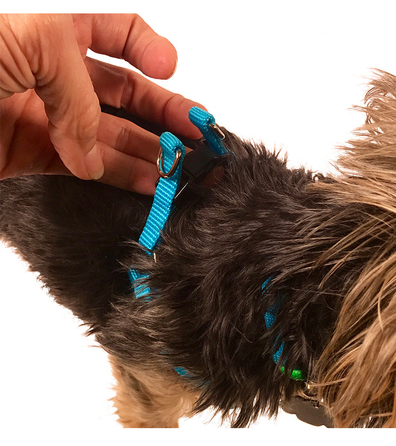 Valhoma Adjustable Harness | Jacks Inc