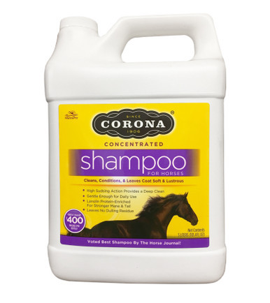 Corona Concentrated Shampoo 3 liters | Jacks Inc