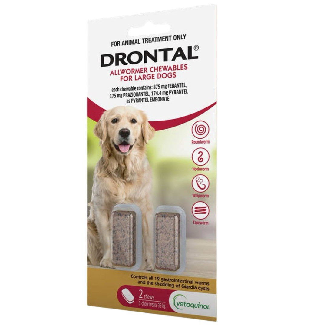 Drontal Allwormer Chews for Dogs up to 35 kg - 2 Pack - Sierra Pet Products