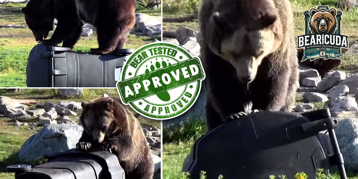 The Science Behind Bear-Resistant Containers - Bearicuda Inc