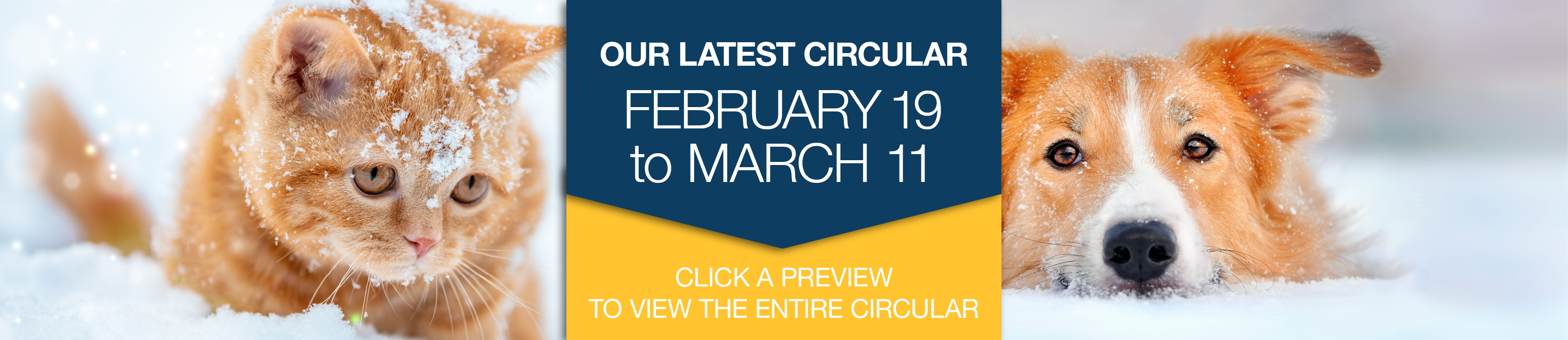 Digital Circular