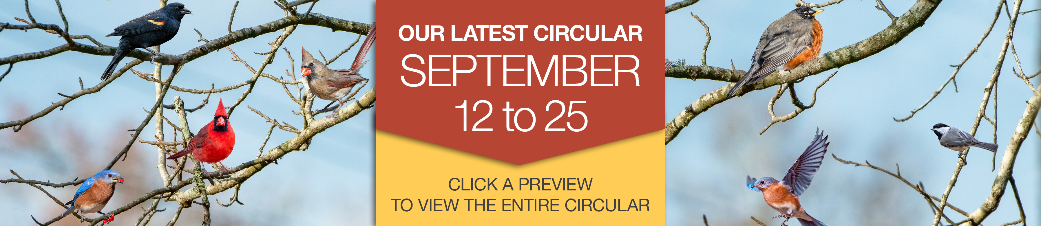 Digital Circular