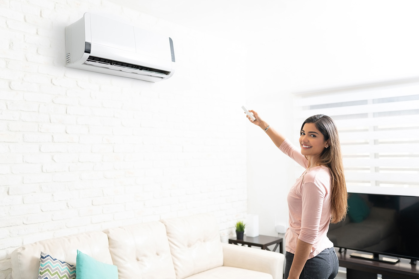 9 Reasons to Invest in a Mini-Split HVAC System - Budget Air Supply ...